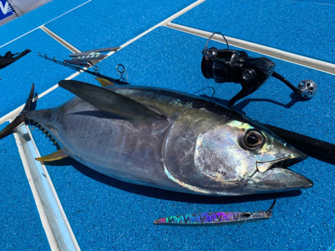 Nature Boys Swim Rider Short 145g ネイチャーボーイズ スイムライダーショート145g | Jigs メタルジグ,Nature Boys ネイチャーボーイズ ...