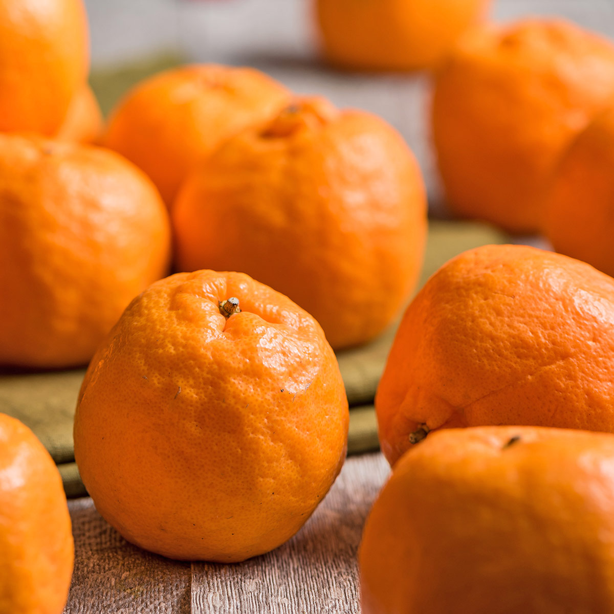 [玉津柑橘倶楽部] ポンカン・訳あり品・5kg M~3Lサイズ混合 | 愛媛県 | にじデパート