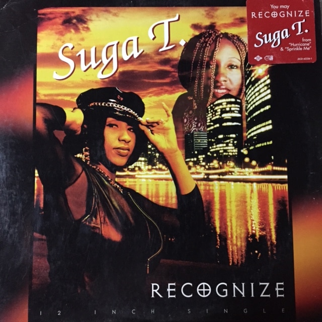 SUGA T / RECOGNIZE | VINYL | IITIGHT MUSIC