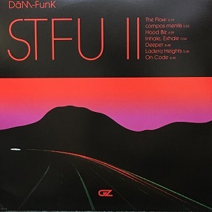 DAM-FUNK / STFU Ⅱ | VINYL,A.B.C.D | IITIGHT MUSIC