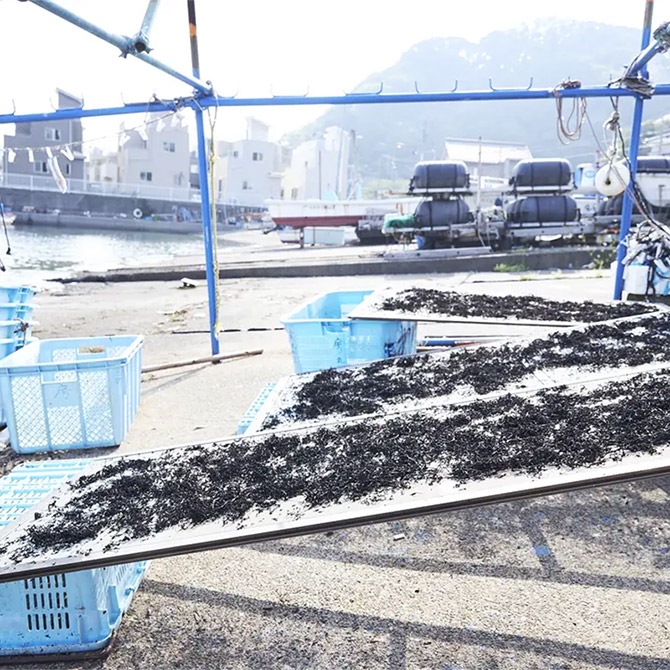 鉄分8倍の鉄窯ひじき！4月とれたて。リピート率No.1 【80g/2025年新物】｜ご自宅用｜海藻の房丸｜DOSKA