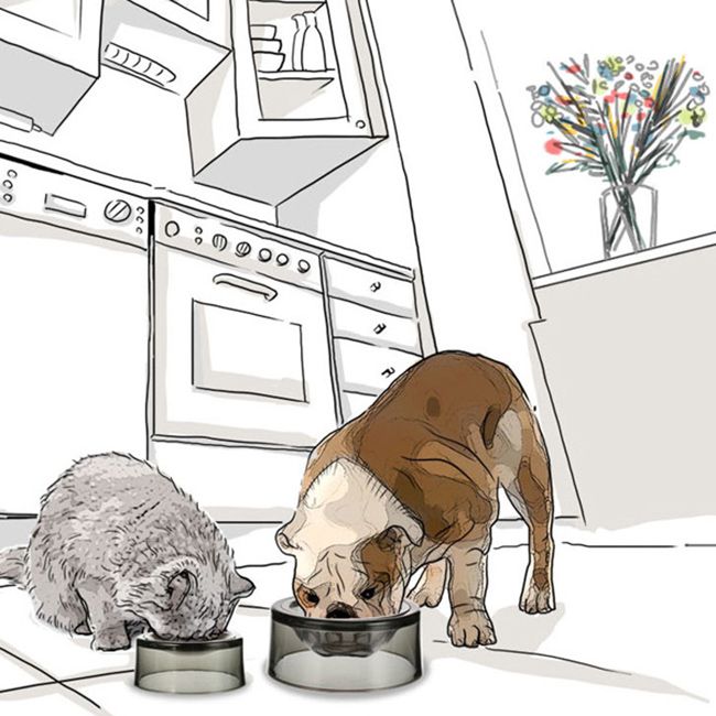 【ペットフードボウル】アクリルガラス猫用餌皿 / FelliP Kaleido Pet Bowl Lordly Puss - Felli ...