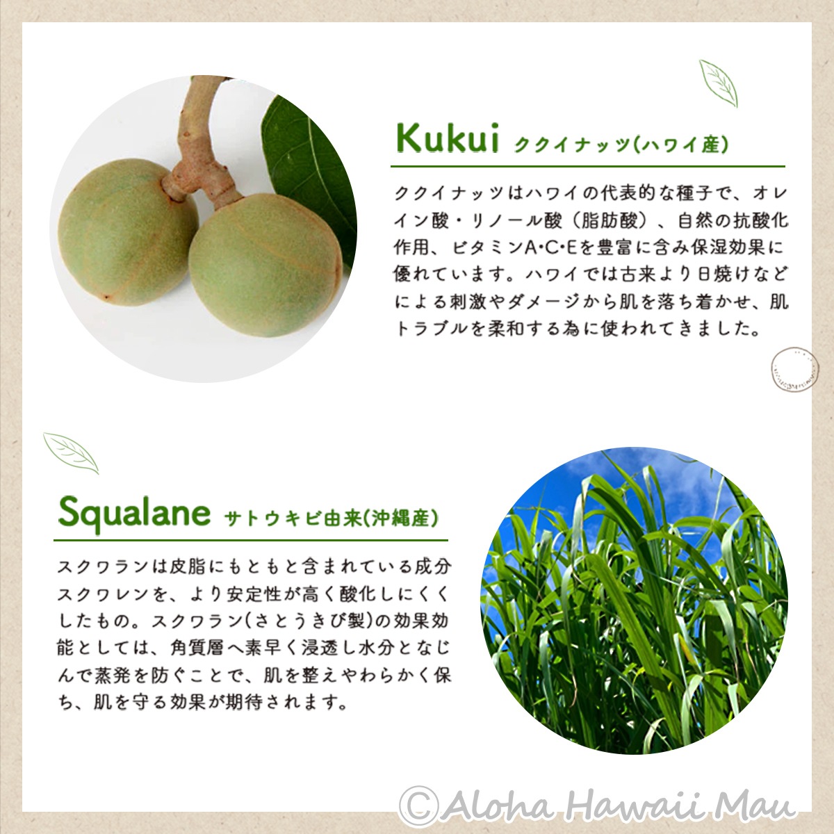 Lino Organics リノオーガニクス タマヌオイルリッチセラム lua 30ml | フレグランス・コスメ,アイテムから探す,ボディ ...