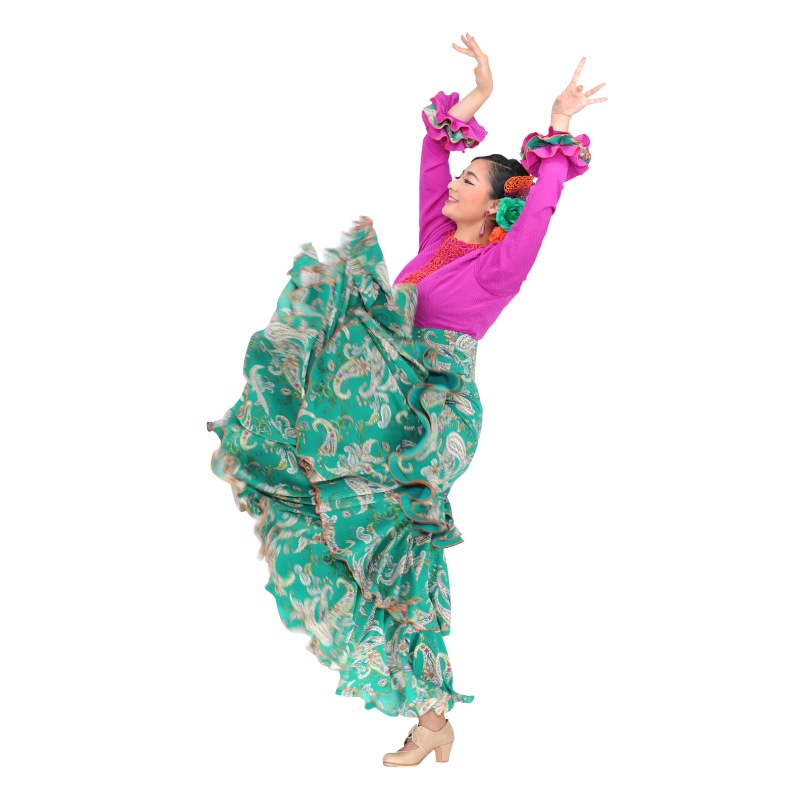 【現品特価】HT-905 ハイウエストマーメイドツーピース マゼンタ/グリーンペイズリー【23V】 | すべての商品 | イベリアオンラインショップ