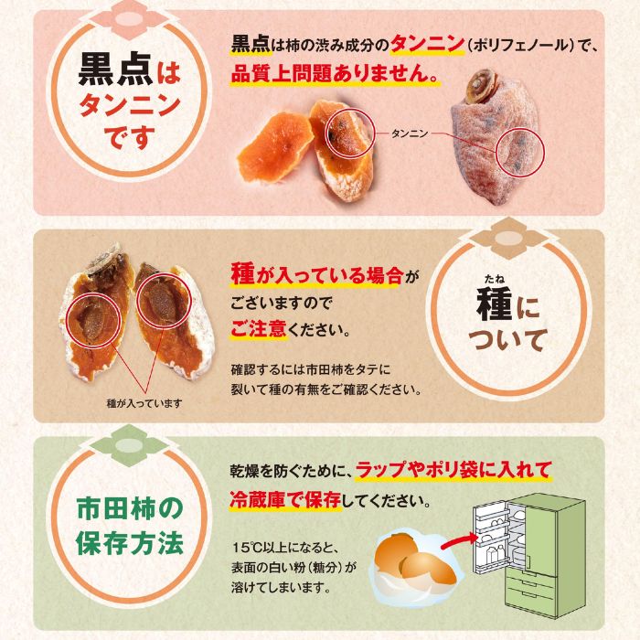 ひんやり市田柿 900g（150g×6パック） 干し柿 【冷蔵】 S442 5月上旬～発送 | 市田柿 | JAみなみ信州公式オンラインストア
