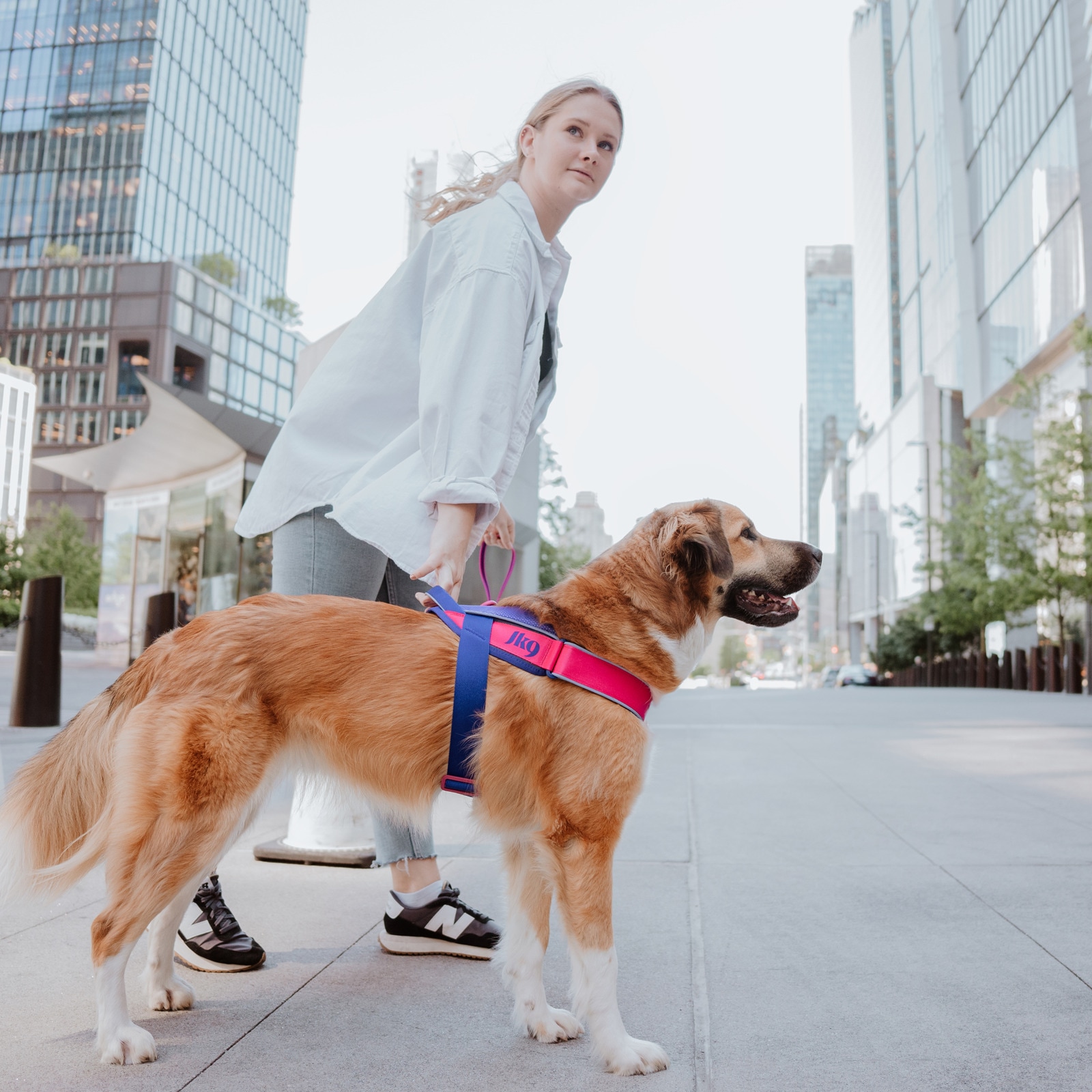JK9 Street harness (ストリートハーネス) 大型犬用 | ハーネス,JK9 Street ハーネス | JULIUS-K9 JAPAN
