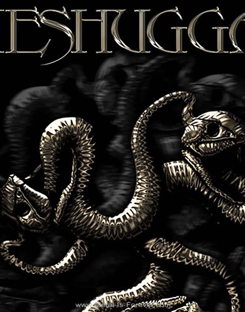 MESHUGGAH (メシュガー) Catch 33 「キャッチ・サーティースリー」 バックパッチ｜メタルTシャツ専門店 METAL IS ...