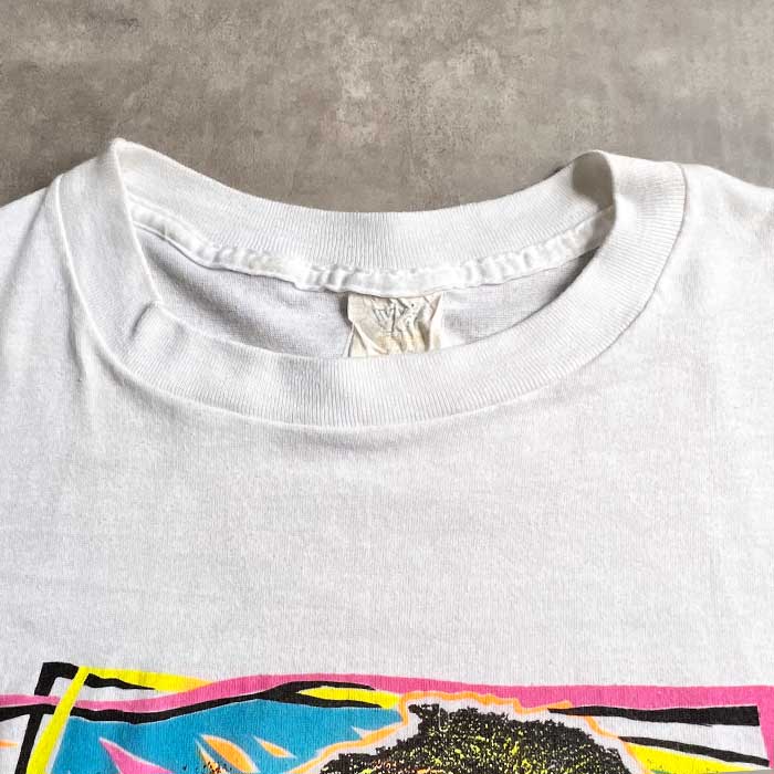 90'S WWF ULTIMATE WARRIOR T-SHIRT Made in USA 90年代 アルティメット・ウォリアー Tシャツ ホワイト サイズL アメリカ製 | 【USED ...