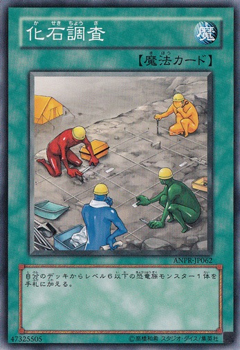 化石調査 ANPR-JP062 | すべての商品 | 通販のPAO