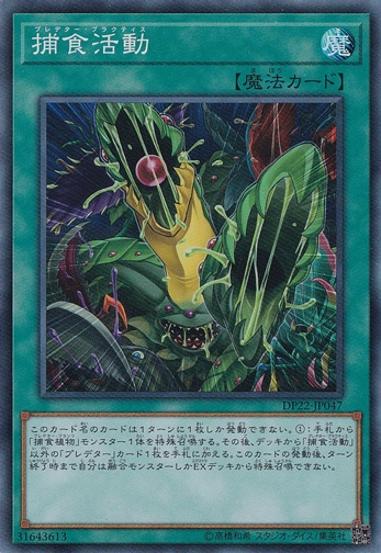 捕食活動 【スーパー】 DP22-JP047 | すべての商品 | 通販のPAO