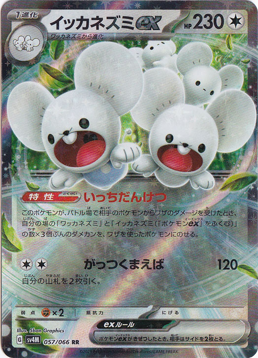 イッカネズミex RR 057/066 | ポケモンカードゲーム | 通販のPAO