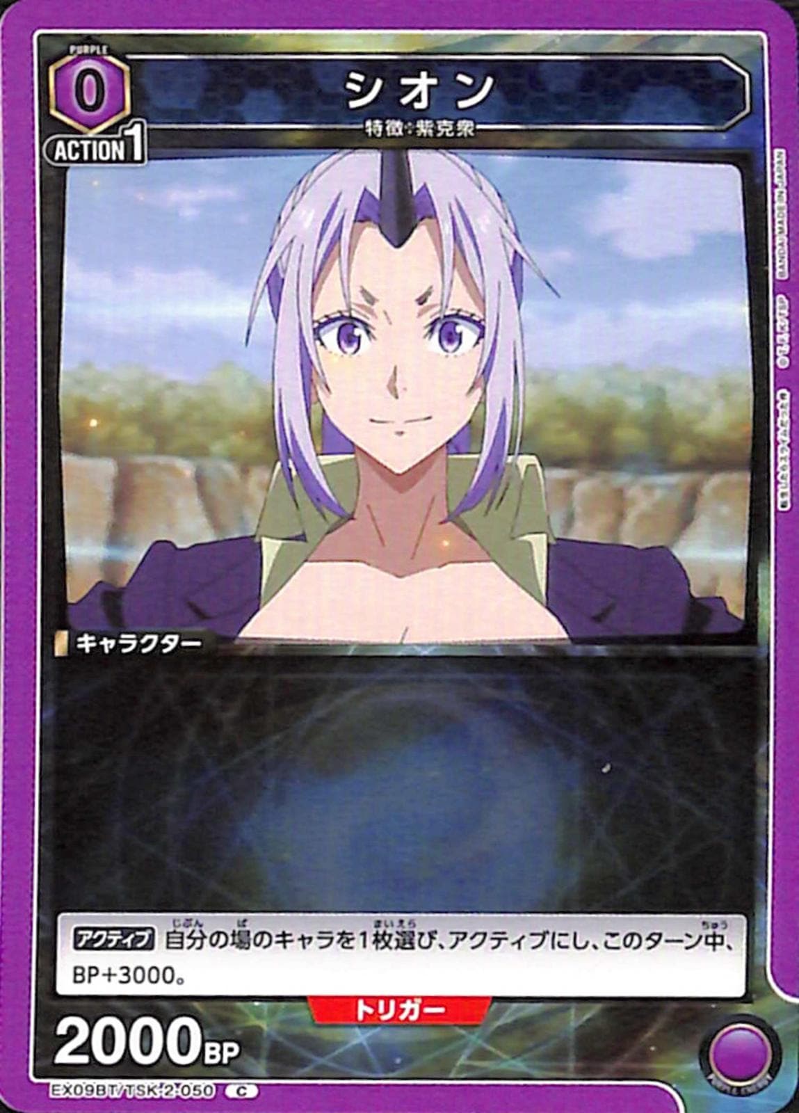 シオン C TSK-2-050｜ユニオンアリーナ｜通販のPAO