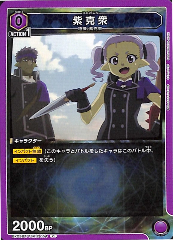 紫克衆 C TSK-2-054｜ユニオンアリーナ｜通販のPAO