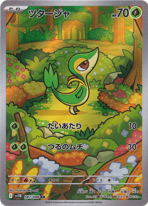 ツタージャ AR 087/086｜すべての商品｜通販のPAO