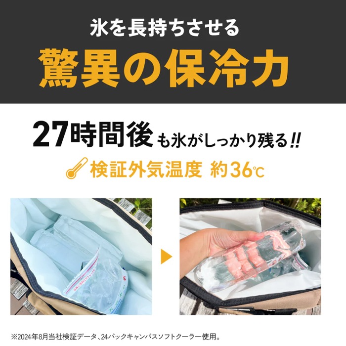 AO COOLERS 9Pack Canvas Soft Cooler BLACK 【エーオークーラーズ ソフトクーラー 9パック キャンバス ...