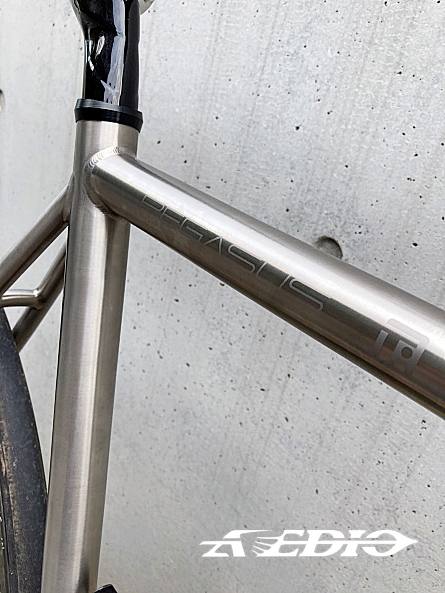 AVEDIO PEGASUS Campagnolo CHORUS TITANIUM FRAME / CARBON RIBFORK ...