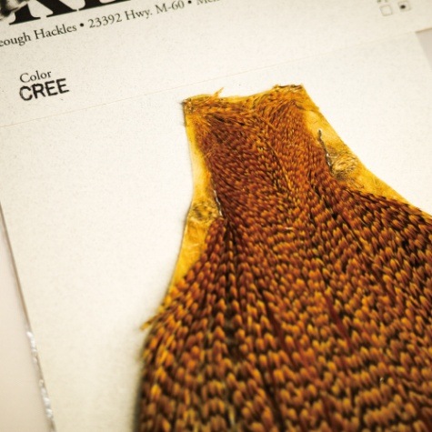 KEOUGH cape CREE #2 | CANAL | WALTON'S INC