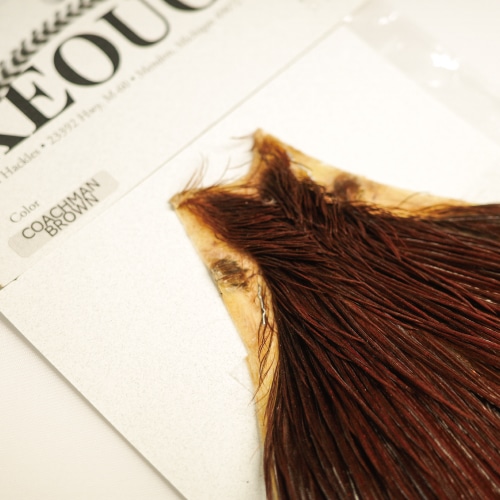 KEOUGH cape COACHMAN BROWN #2 | CANAL | WALTON'S INC