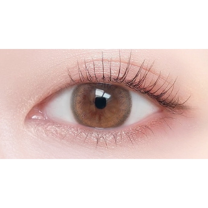 ビューム ワンデー 10枚入り（シナモンヌード） | Type,ワンデー | Wlens