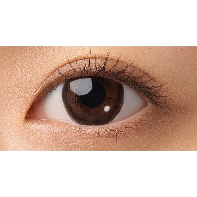 フェアリーワンデー ニュートラルシリーズ 10枚入り（ドーリーブラウン） | Type,ワンデー | Wlens