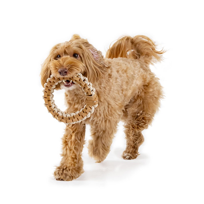 FAD レザー＆コットン・トイ リング (PTFA06003) | カテゴリー別,[DOG&CAT] ペットトイ,[DOG] トイ,FADレザー＆コットントイ | albiot