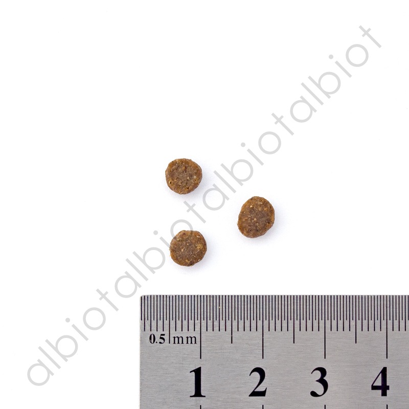 GO! ソリューションズ 消化＋腸の健康ケア サーモンキャット 30g キャットフード | ブランド別,GO SOLUTION,[CAT] ドライフード,消化＋腸の健康ケアキャット | albiot