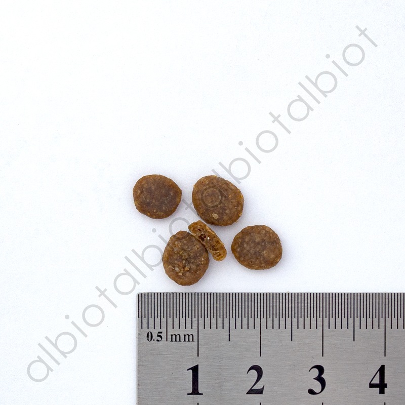 GO! ソリューションズ 皮膚＋被毛ケア サーモンキャット 30g キャットフード | すべての商品 | albiot