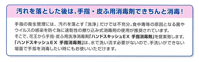 ハンドスキッシュEX 4.5L×3本 | カテゴリから探す,除菌・衛生・消臭,手指消毒剤 | アメニティズショップ