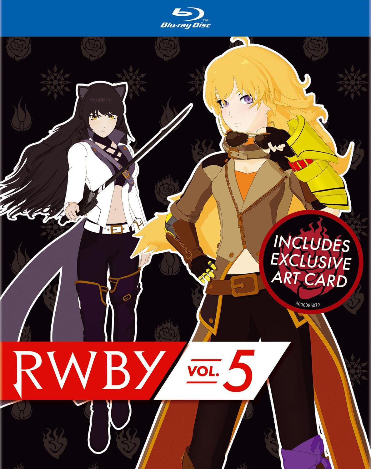 BD RWBY ルビーVolume 5(第5期) 1-14話BOXセット | ブルーレイ,日本アニメ ブルーレイ（北米版 ...