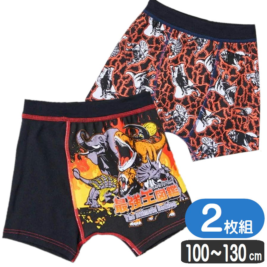 最強王図鑑 ボクサーパンツ 男児カラーパンツ 2枚組 恐竜 動物 キャラクター ボクサーブリーフ 男の子 インナー 2781500 バンダイ | インナー＆靴下,子供インナー | キャラクター ...