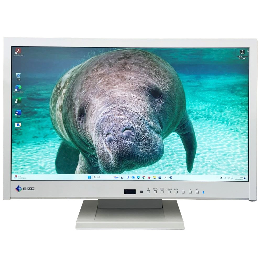 EIZO 21.5型ワイド液晶ディスプレイ FlexScan EV2116W 1920×1080 フルHD アナログ デジタル HDMI 非光沢パネル モノラルスピーカー搭載 ディスプレイ ...