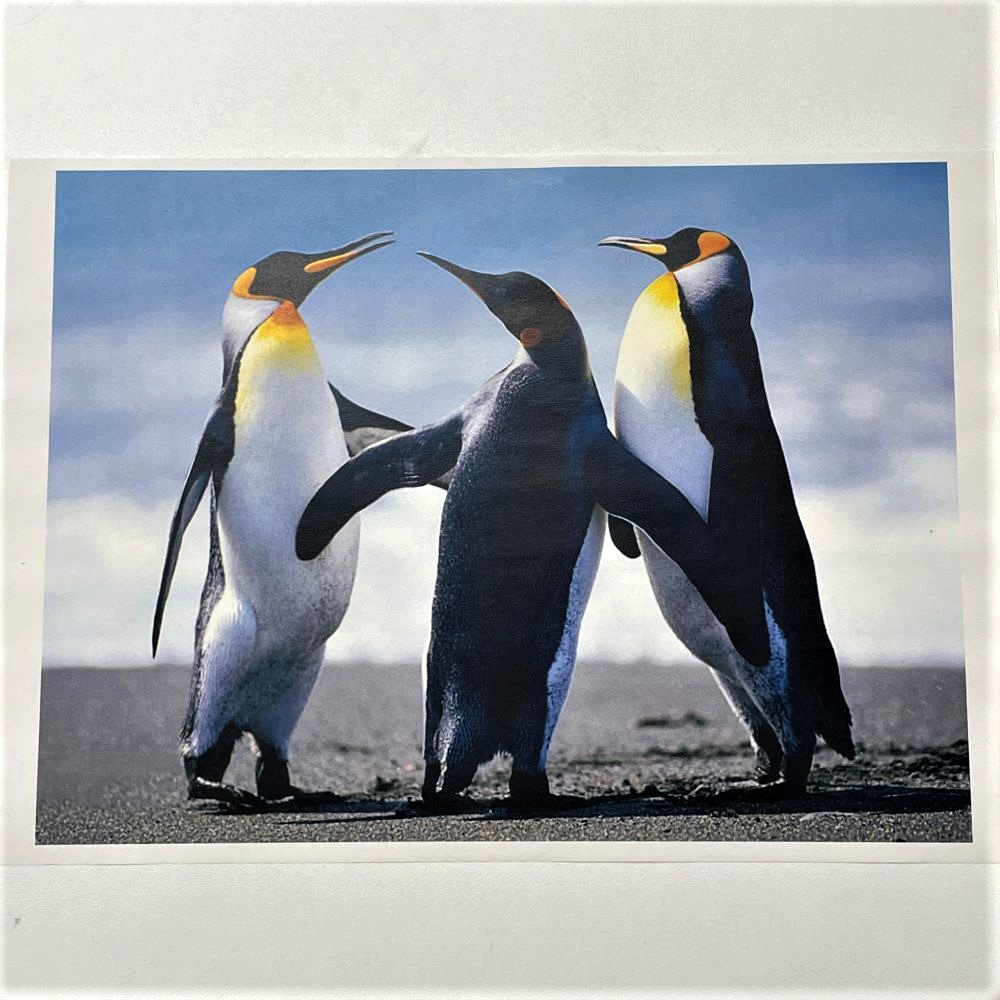 富士フイルムビジネスイノベーション（富士ゼロックス） DocuCentre-VII C2273 PFS A3カラー複合機 フルカラー コピー ...