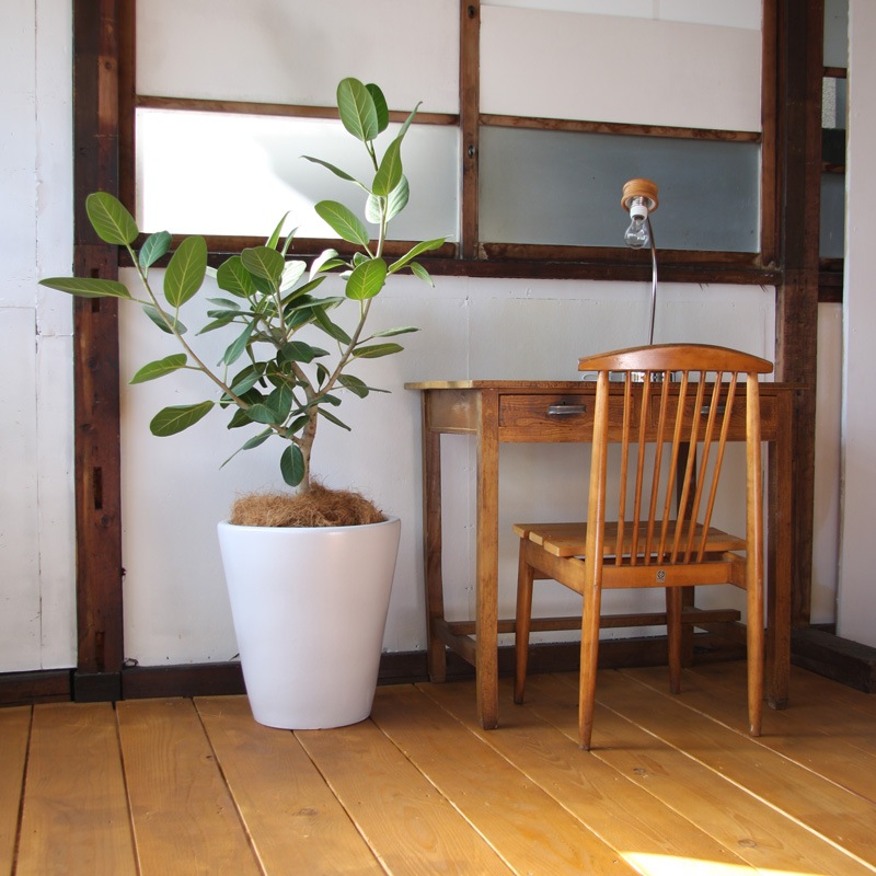 PR1 マット | ルッカ | 植木鉢・テラコッタとプランターの通販専門店 | BARGE