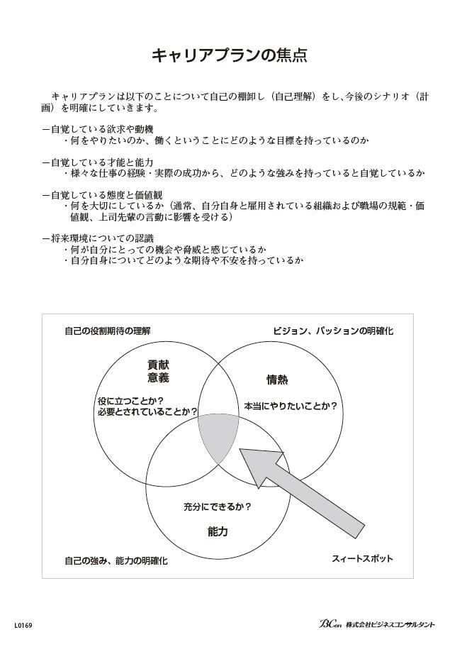 L0169 キャリアプランの焦点 | BCONライセンシー 全ての資料 | 株式会社LDcube