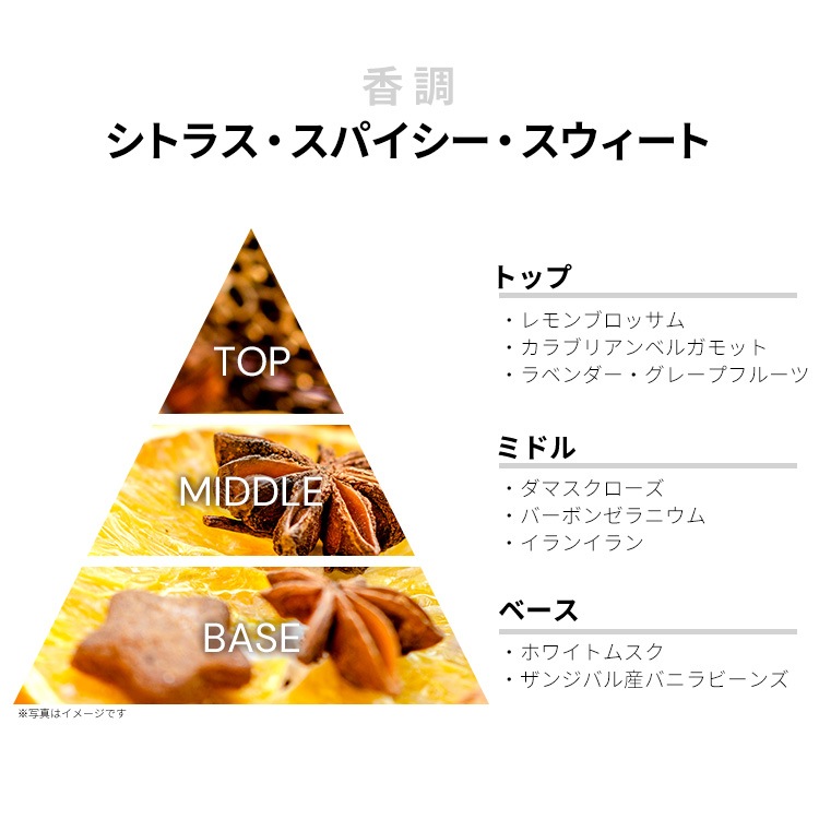 セルヨッフ カサモラティ 1888 レギオ EDP・SP 30ml 送料無料 XERJOFF