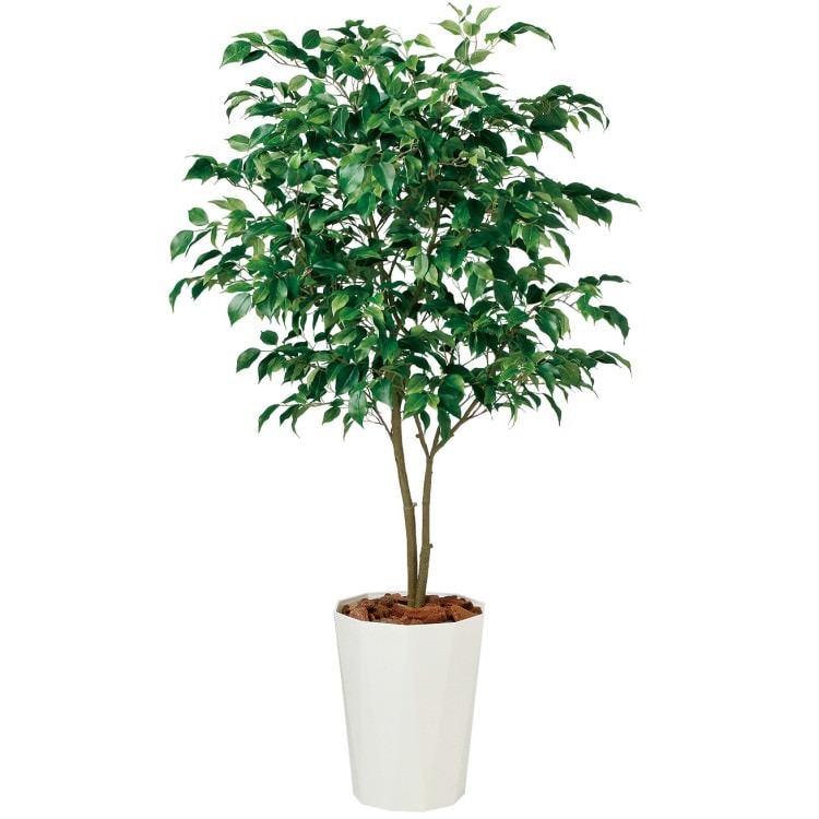 ベンジャミン ワイド FST W90×H150cm｜TK99122 アーティフィシャルグリーン 人工観葉植物 人工樹木 鉢付きグリーン | アーティフィシャルグリーン | BESIGN ...