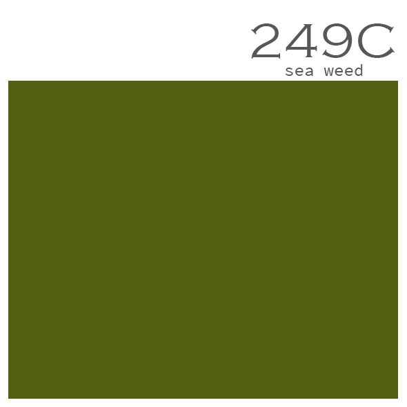 カラージェル 249C sea weed (旧386C 3g)|プロ専用ネイル用品ショップMD-GEL