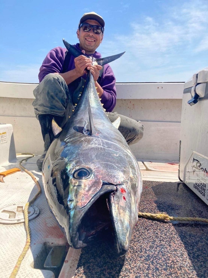 フラッシュユニオン / シーレボ BFT.クラッシャー BFTC-S76H | ロッド | 【BASS MATE バスメイト】