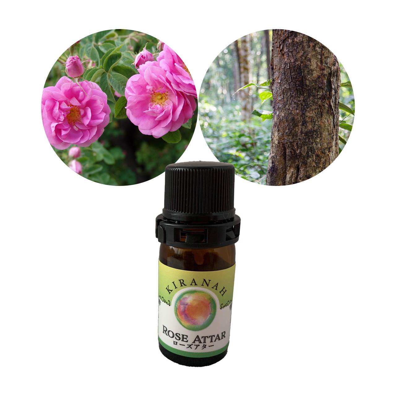 Attar Oil Rose アッター ローズ (5ml) | ブッククラブ回 Online Store