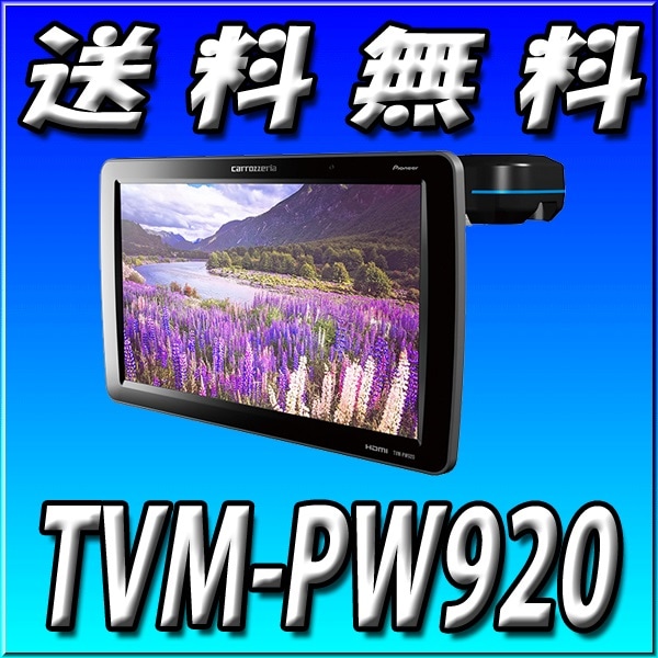 TVM-PW920 9V型ﾜｲﾄﾞVGAﾌﾟﾗｲﾍﾞｰﾄﾓﾆﾀｰ | メーカー・パイオニア,カーナビオプション | カーナビショップ・ブラウン ...