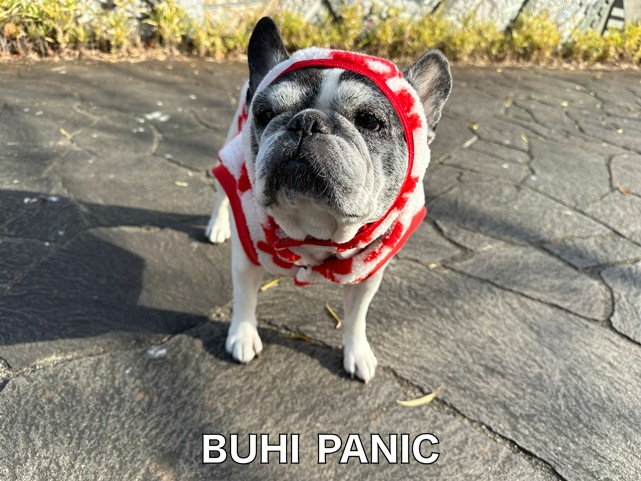 派手派手ベスト/BOO BEA BOO | BUHI PANIC | BUHIPANIC