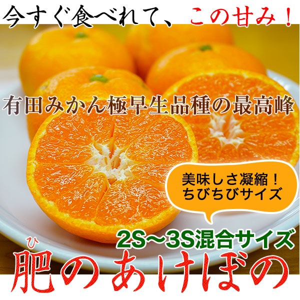 2025年 ご予約開始 有田みかん極早生品種の最高峰！ 幻のみかん「肥のあけぼの」2S～3Sサイズ3kg 3箱で送料無料※北海道、沖縄除く ちょっとしたお届け物にも重宝の組み立て箱入。 手選別 ...