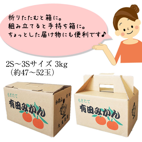 2025年 ご予約開始 有田みかん極早生品種の最高峰！ 幻のみかん「肥のあけぼの」2S～3Sサイズ3kg 3箱で送料無料※北海道、沖縄除く ちょっとしたお届け物にも重宝の組み立て箱入。 手選別 ...