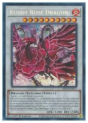 Ruddy Rose Dragon(PSR)(1st)(ブラッド・ローズ・ドラゴン) プリズムレア【遊戯王 英語版】 NM｜遊戯王 英語版 ...