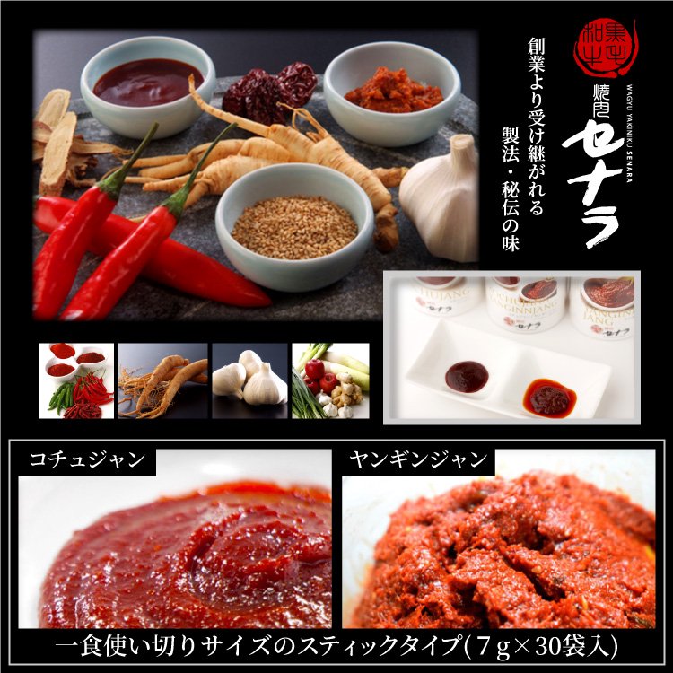 ヤンギンジャン210g(使い切りスティックタイプ 7g×30袋) | 薬味・調味料・たれ | 焼肉セナラオンラインショップ