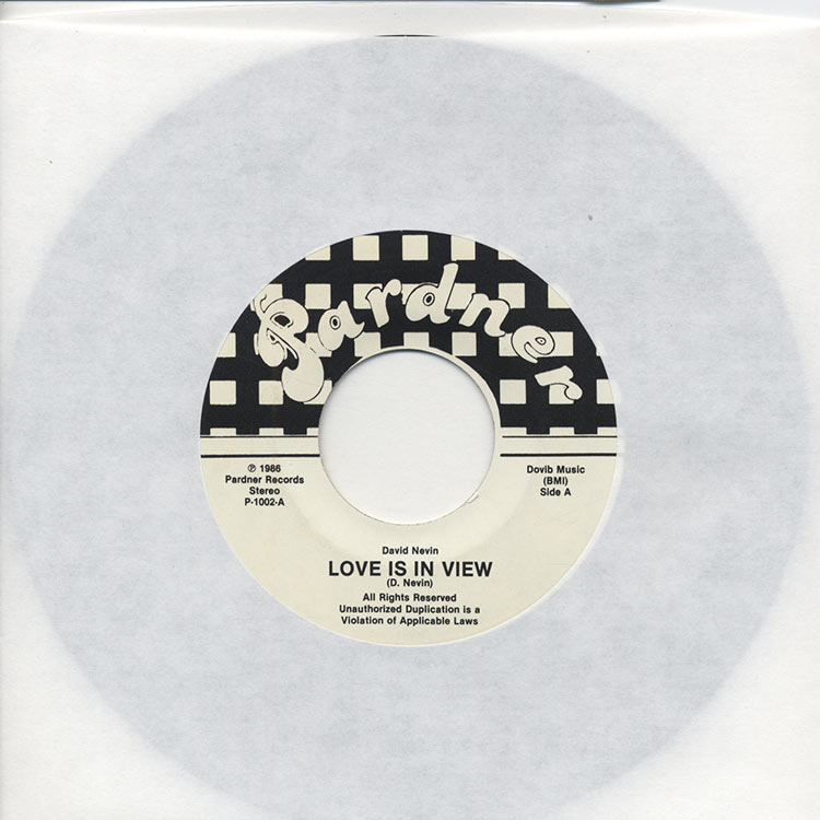 David Nevin - Love Is In View / Shine (Used 7") - デシネ・ショップ・オンライン ...