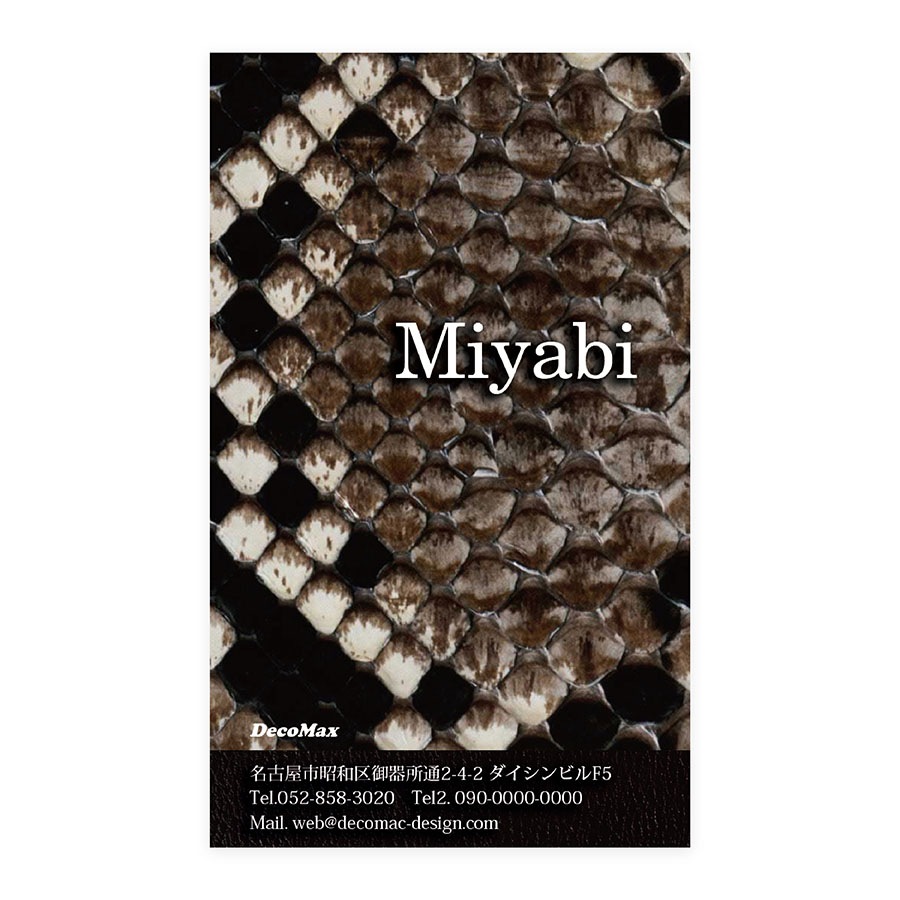 パイソン | すべての商品 | decomax