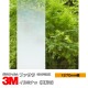3M ファサラ イルミナα SH4FGIMX 50インチ 1270mm幅×1m切売 | すべての商品 | 3M特約販売店 シザイーストア 1号店