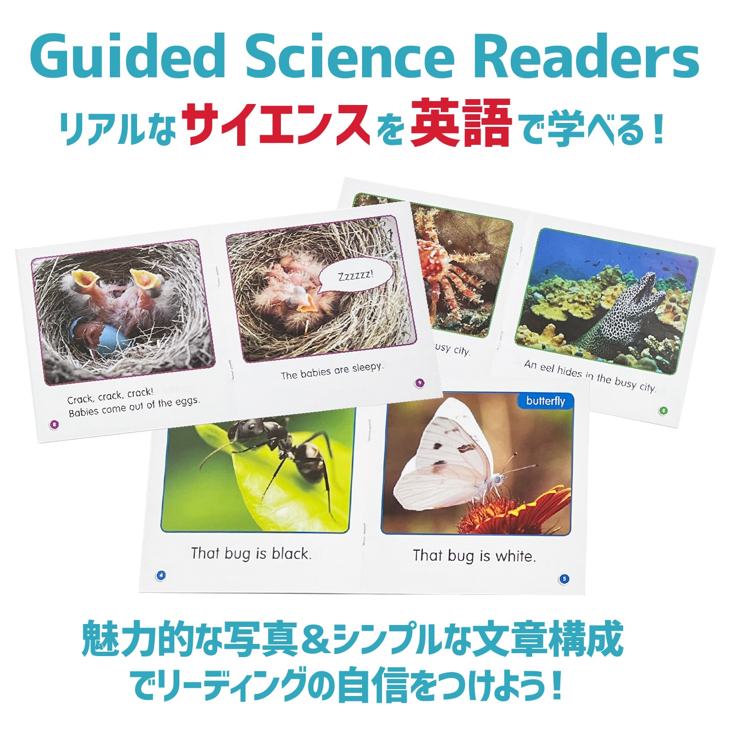 Scholastic Guided Science Readers with Math Readers 音声ペンセット
