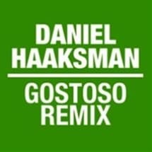 Daniel Haaksman / GOSTOSO RMX | Global Groove | レコードCD専門店 Eat Records